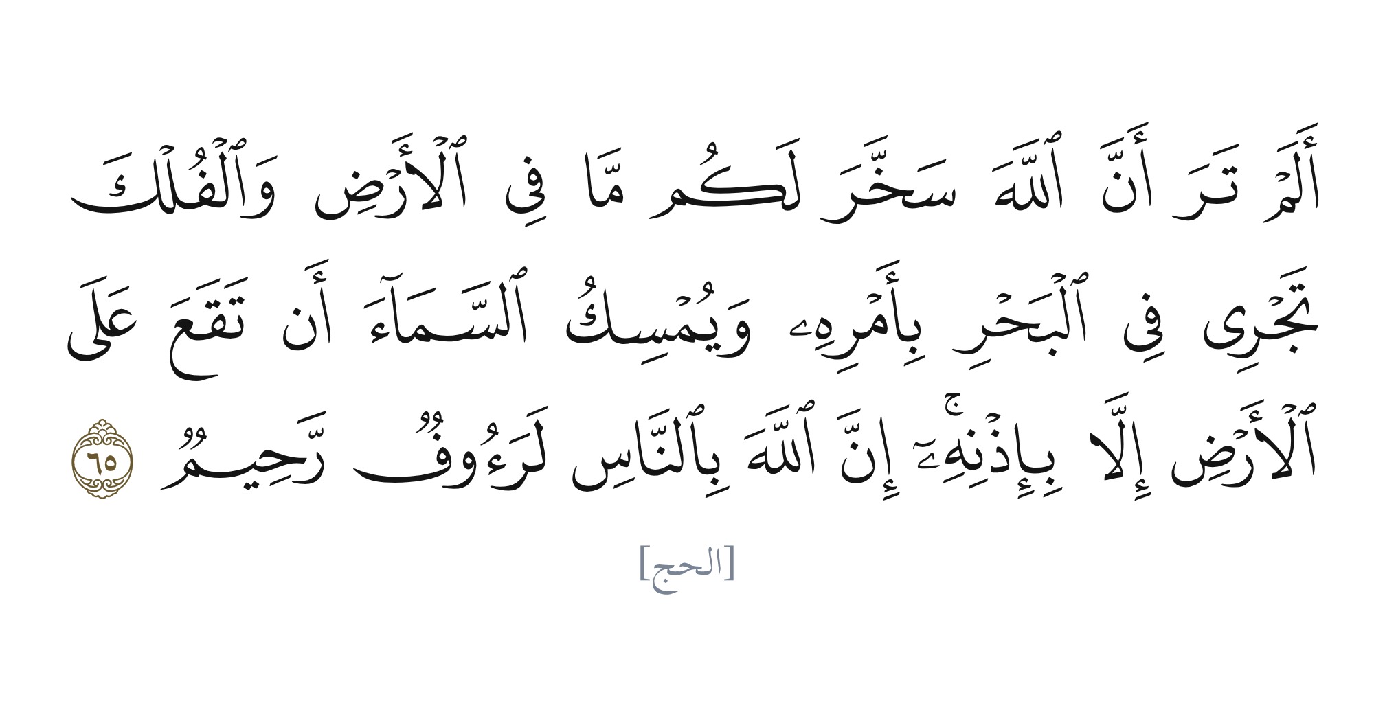 الباحث القرآني